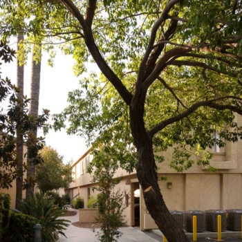 CBU University Place / Village Student Housing