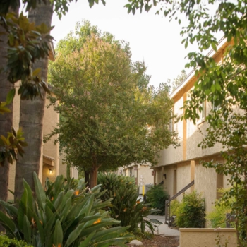 CBU University Place / Village Student Housing